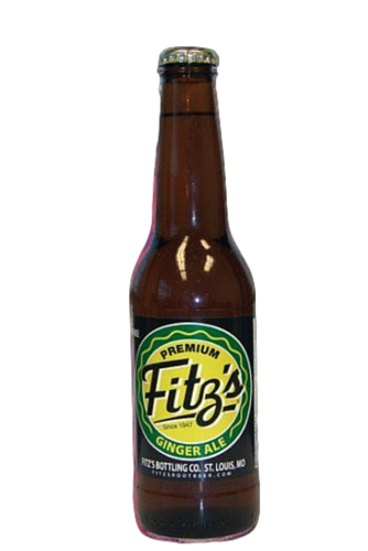 Fitz's Orange Pop ( 12 oz. glass bottles ) | Summit City Soda