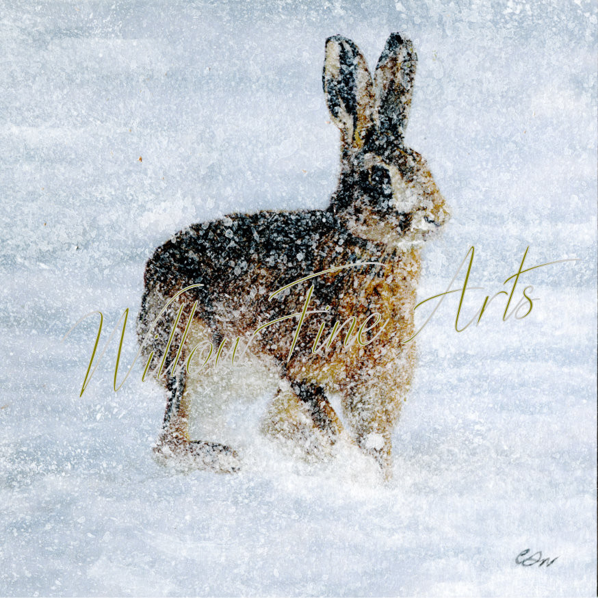 Running Hare in Snow - Art Print