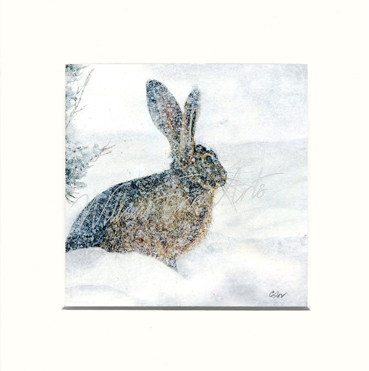 Sitting Hare in Snow - Art Print