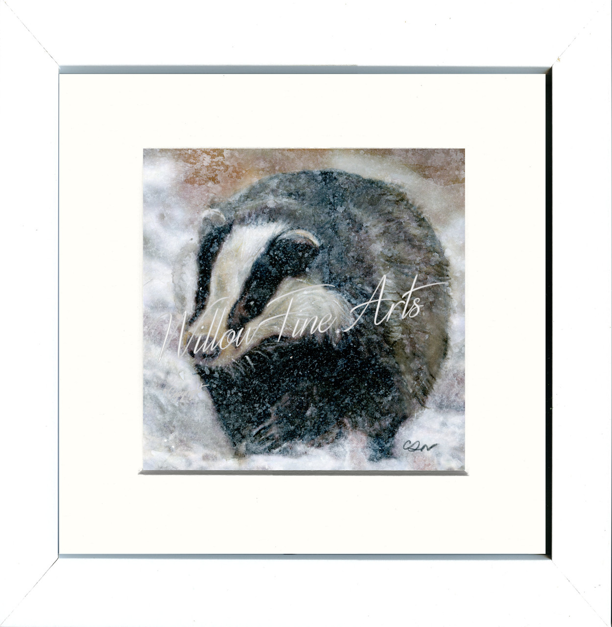 Badger in Snow - Art Print