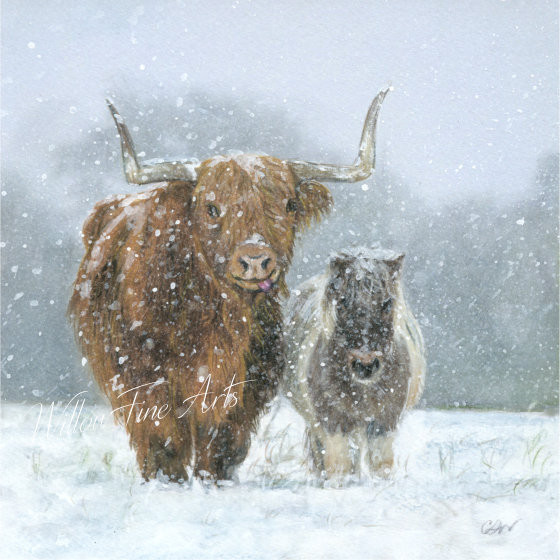 Highland Cow and Shetland Pony in Snow - Canvas Print