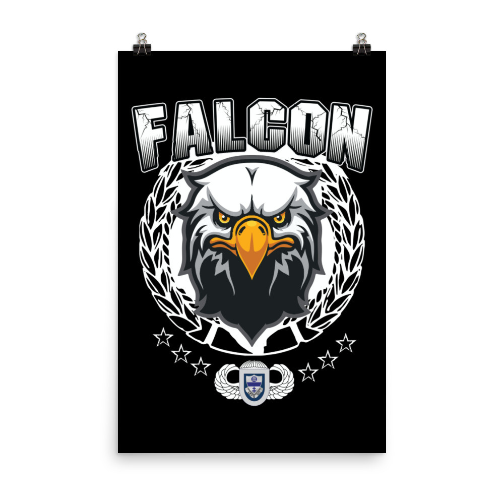 325 Falcon Poster - Meach's Military Memorabilia & More