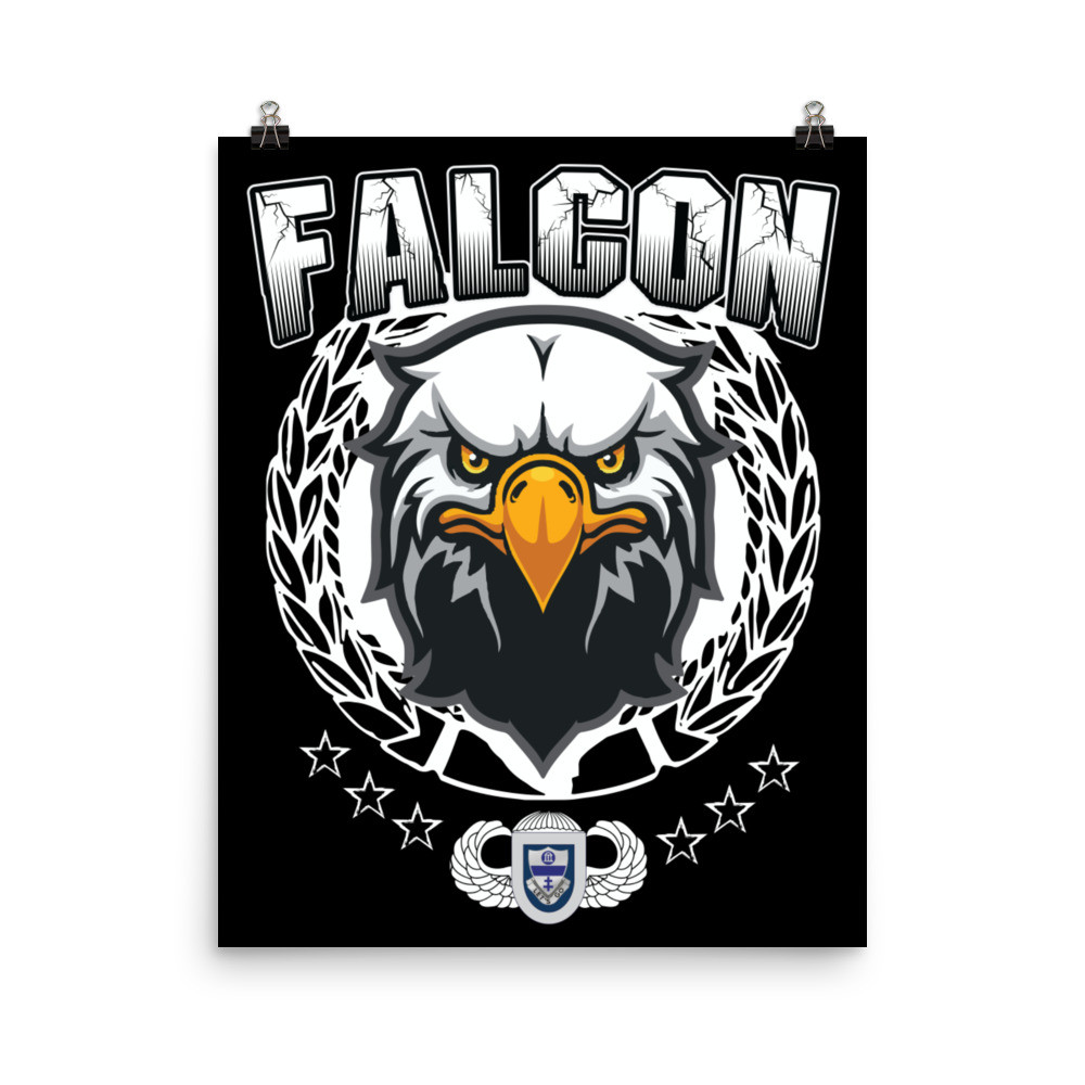 325 Falcon Poster - Meach's Military Memorabilia & More