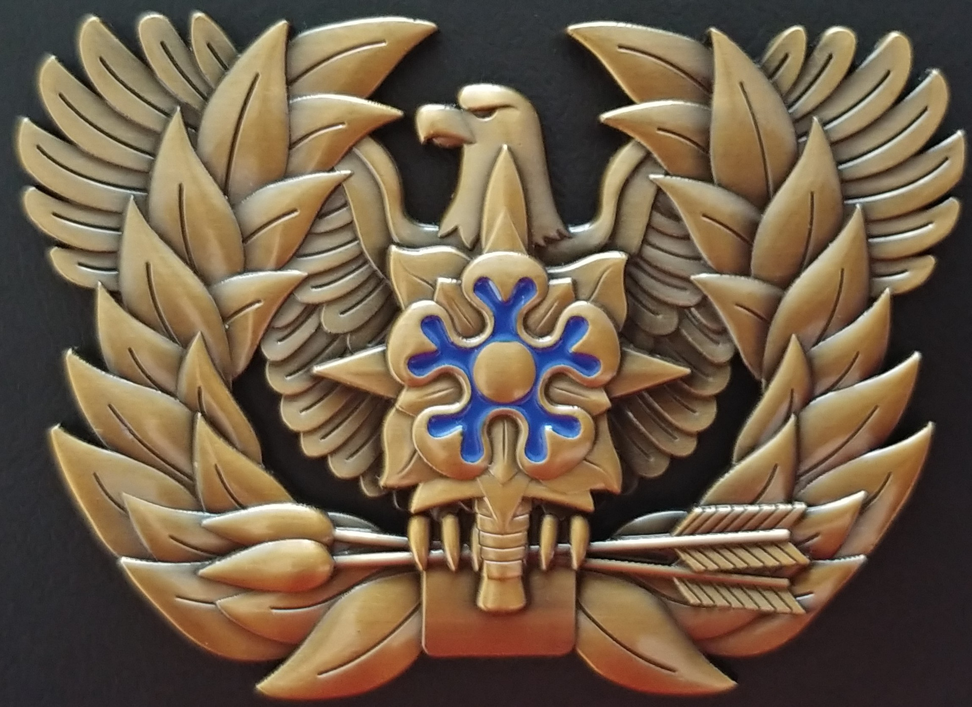 Us Army Air Assault Badge Challenge Coin Meachs Military Memorabilia
