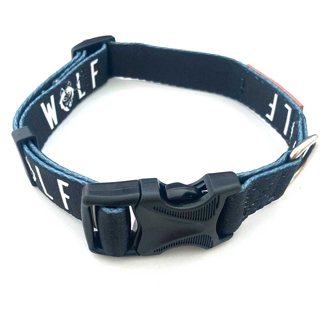 Strong Dog Collars | Wolf & I Co. Pet Accessories Australia