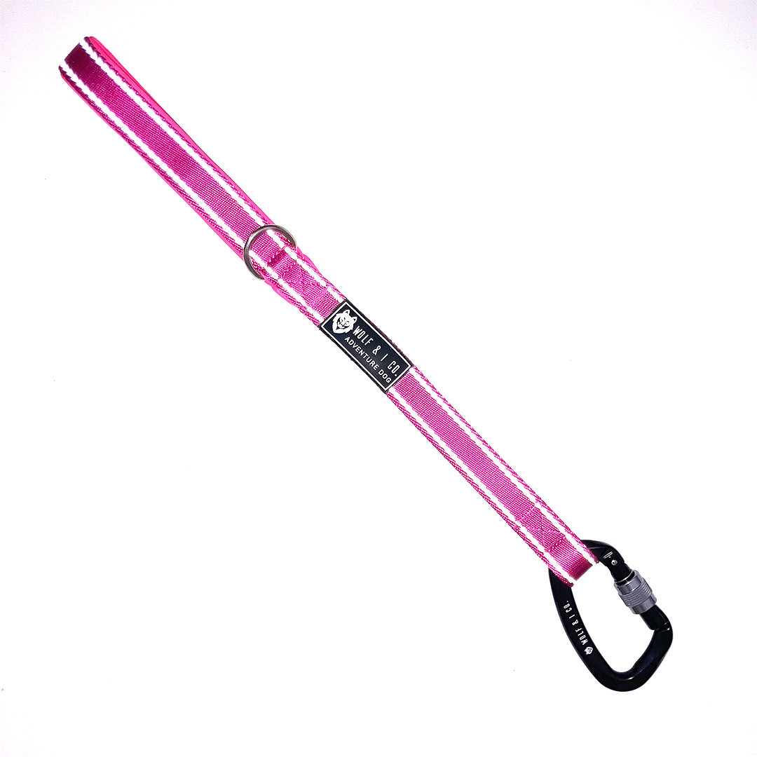 Reflective Dog Leashes | Dog Walking At Night