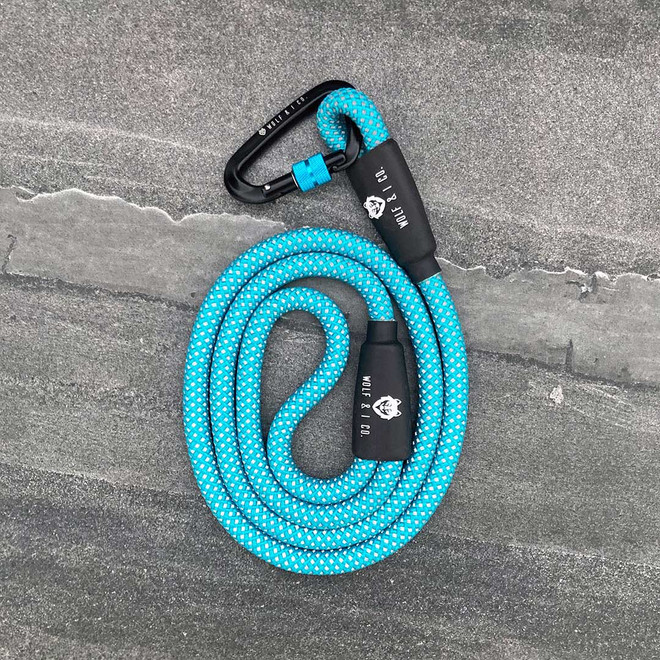 Arctic Fox 4ft Light Blue Dog Leash | Shop Online Now