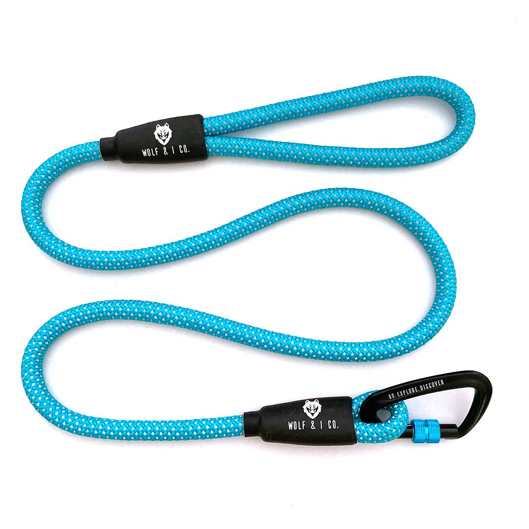 Arctic Fox 4ft Light Blue Dog Leash | Shop Online Now
