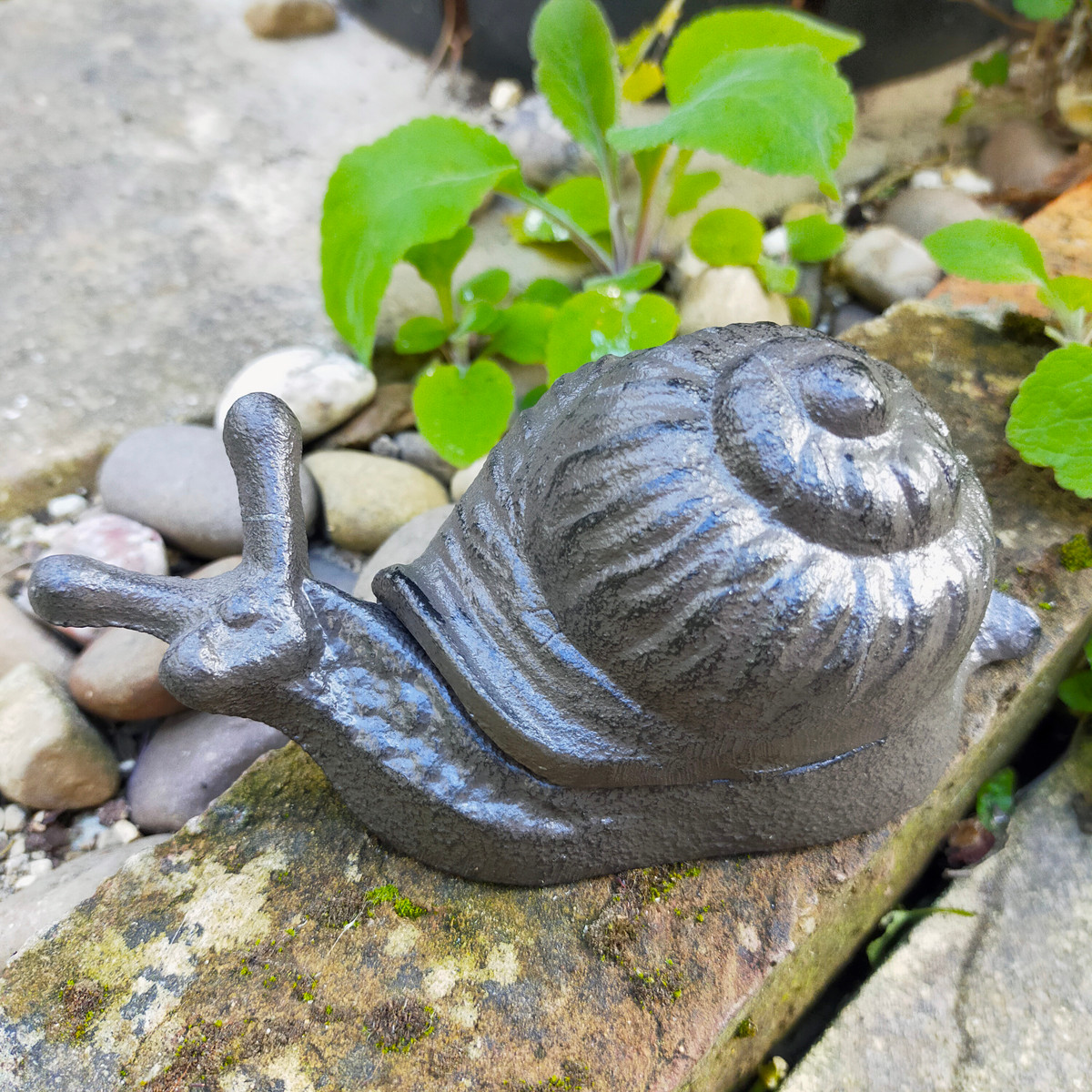 Cast Iron Snail Key Keeper / Hider