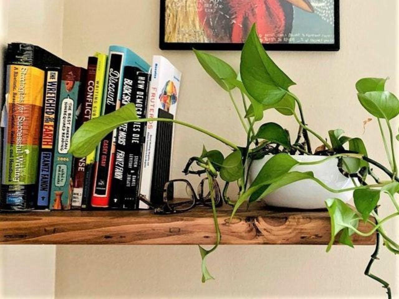 Are Floating Shelves Sturdy Enough to Hold Books? - J Thomas Home