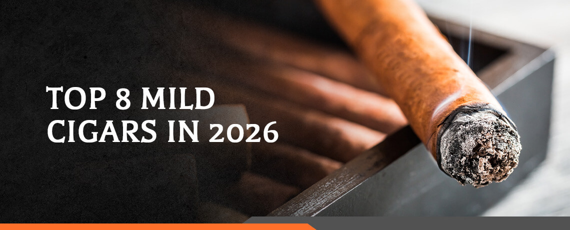 Top 8 Mild Cigars in 2026 - Corona Cigar Co.