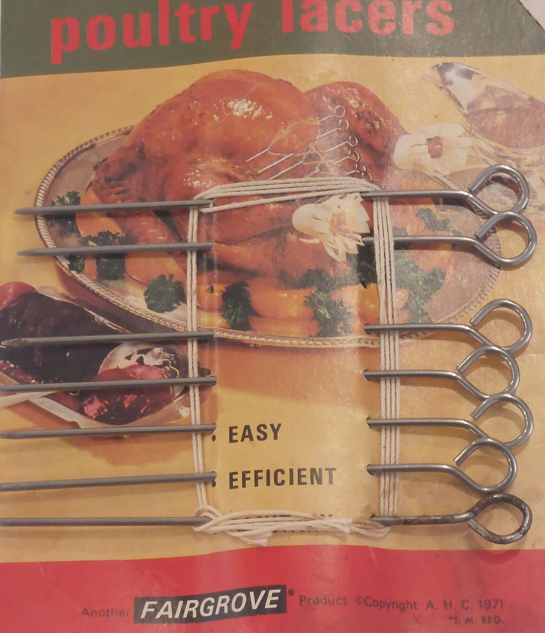 Stainless Steel 4 1/4 poultry lacers made japan