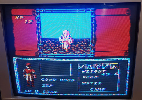 Dungeon Magic Sword of the Elements Nintendo Nes Video Game Cleaned Tested