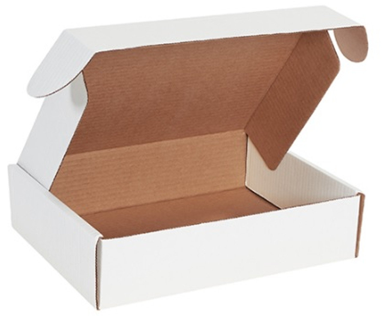 19 1 8 X 9 1 8 X 2 3 16 White Deluxe Literature Mailers 50 Bundle 19-1-8-x-9-1-8-x-2-3-16-white-deluxe-literature-mailers-50-bundle
