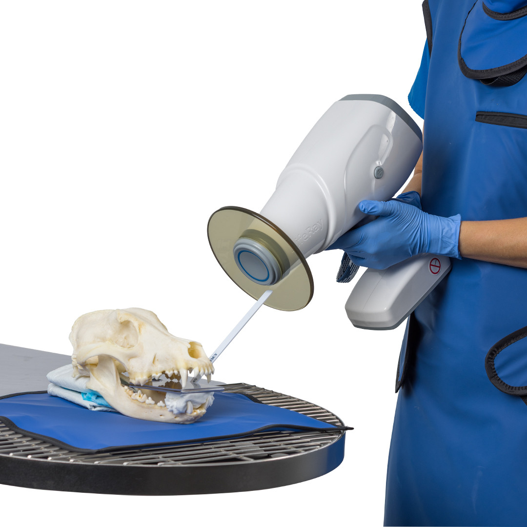 iM3 LifeRay Handheld X-Ray Generator