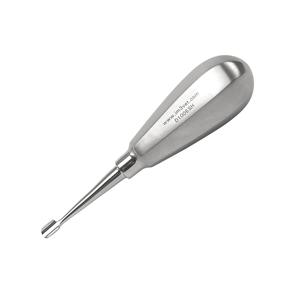 6mm Winged elevator - stubby handle