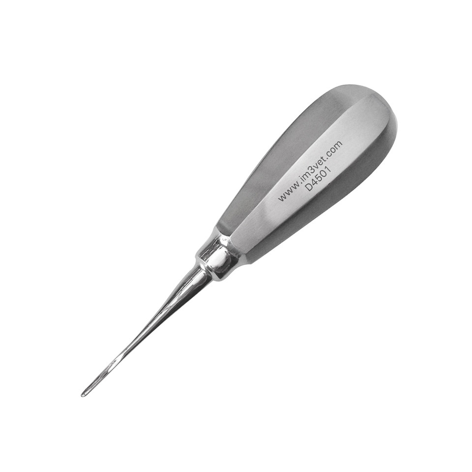 Veterinary Dental Hand Instruments | iM3 Veterinary Dental
