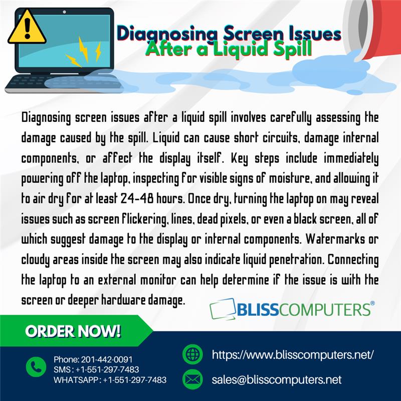 DIAGNOSING SCREEN ISSUE: AFTER A LIQUID SPILL (#1580) - Bliss Computers