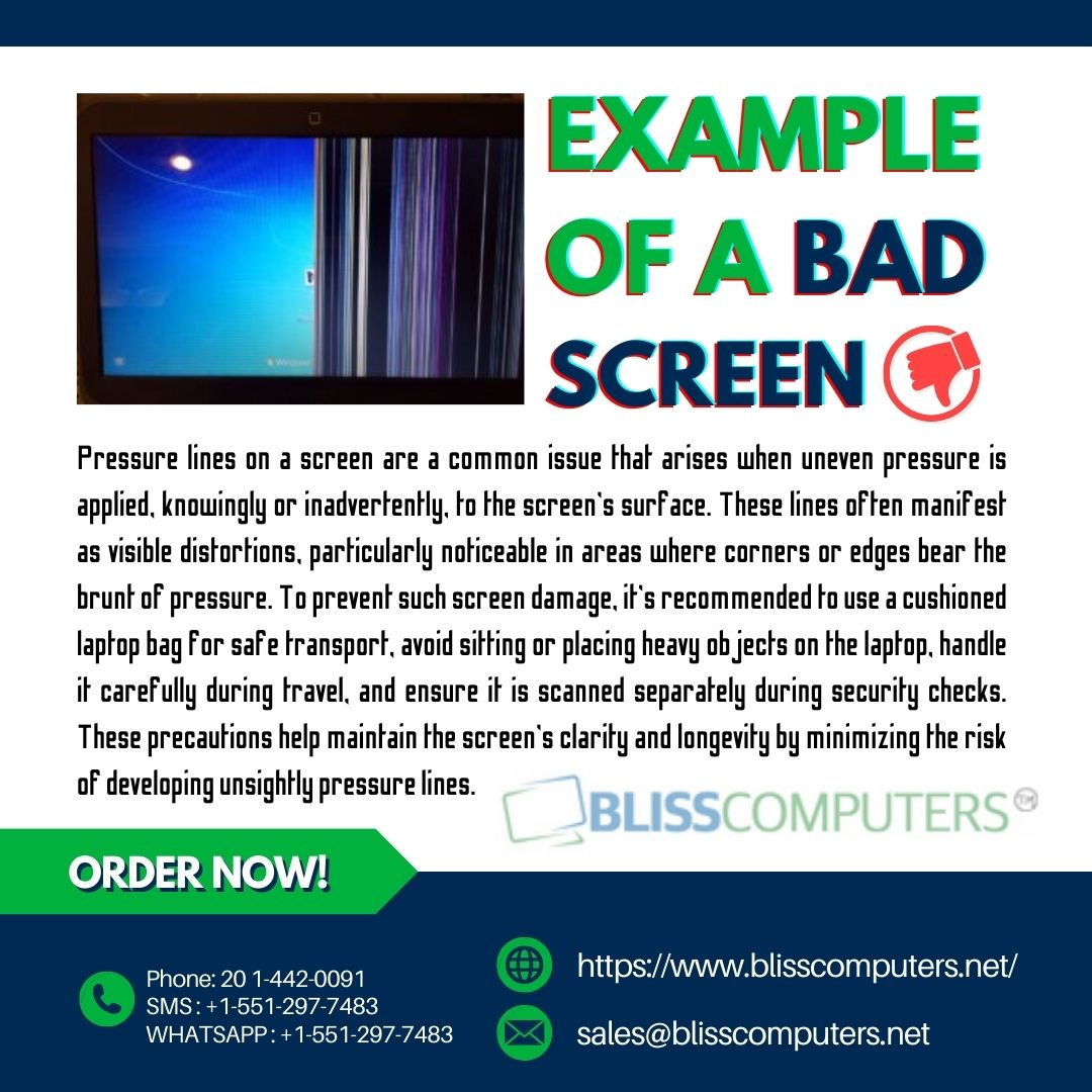 EXAMPLE OF A BAD SCREEN (#1526) - Bliss Computers