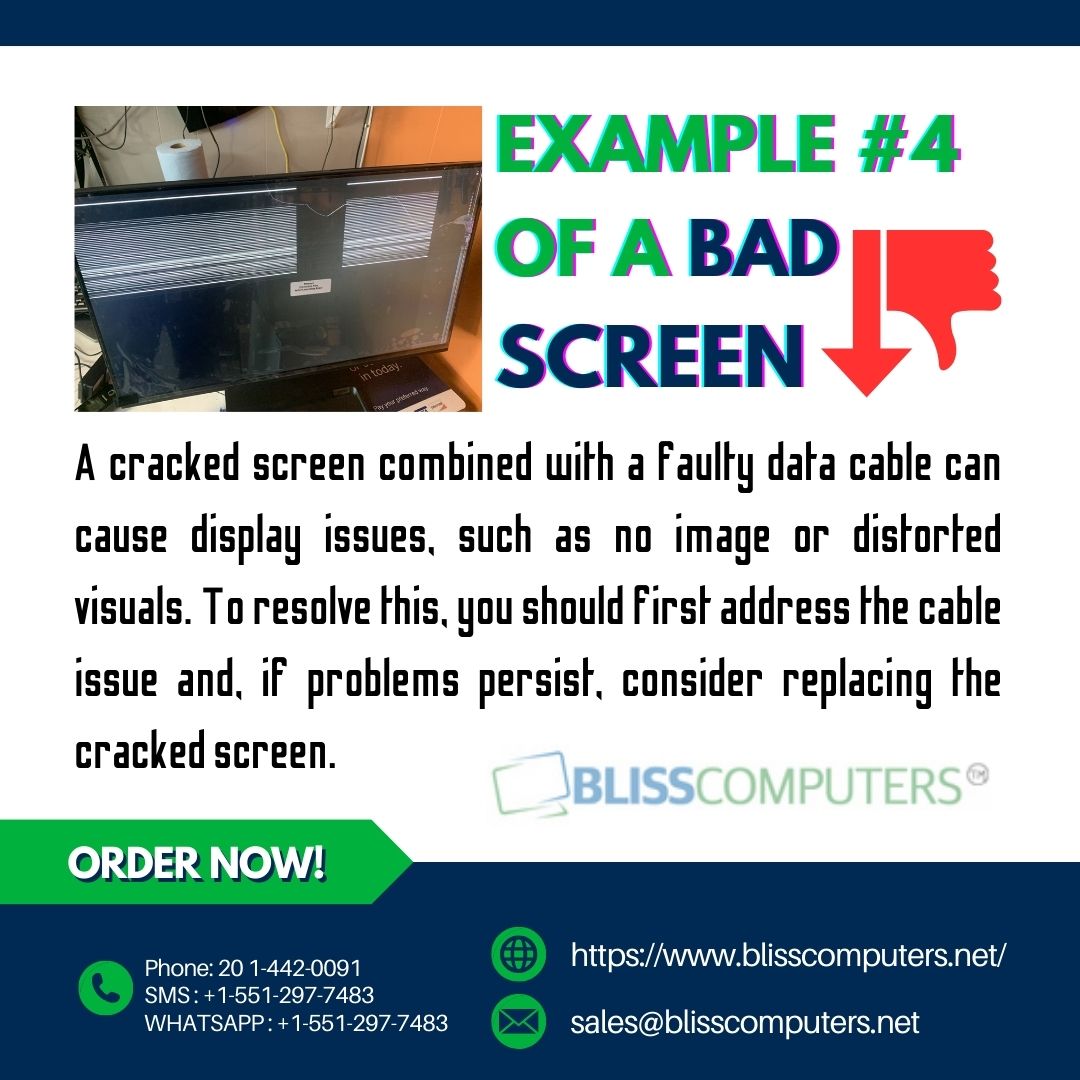 EXAMPLE #4 OF A BAD SCREEN (#1533) - Bliss Computers