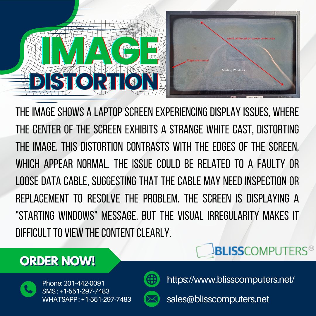 IMAGE DISTORTION (#1556) - Bliss Computers