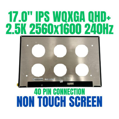 BOE0AF0 17" 2560x1600 WQXGA QHD+ 40 Pin Non Touch 2.5K IPS 240Hz Screen