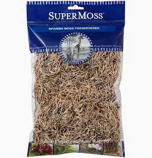 Spanish Moss Bag - Bless Your Heart of Alabama