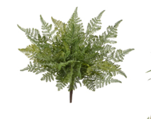 Bundle, 20" Soft Touch Fern - Bless Your Heart of Alabama