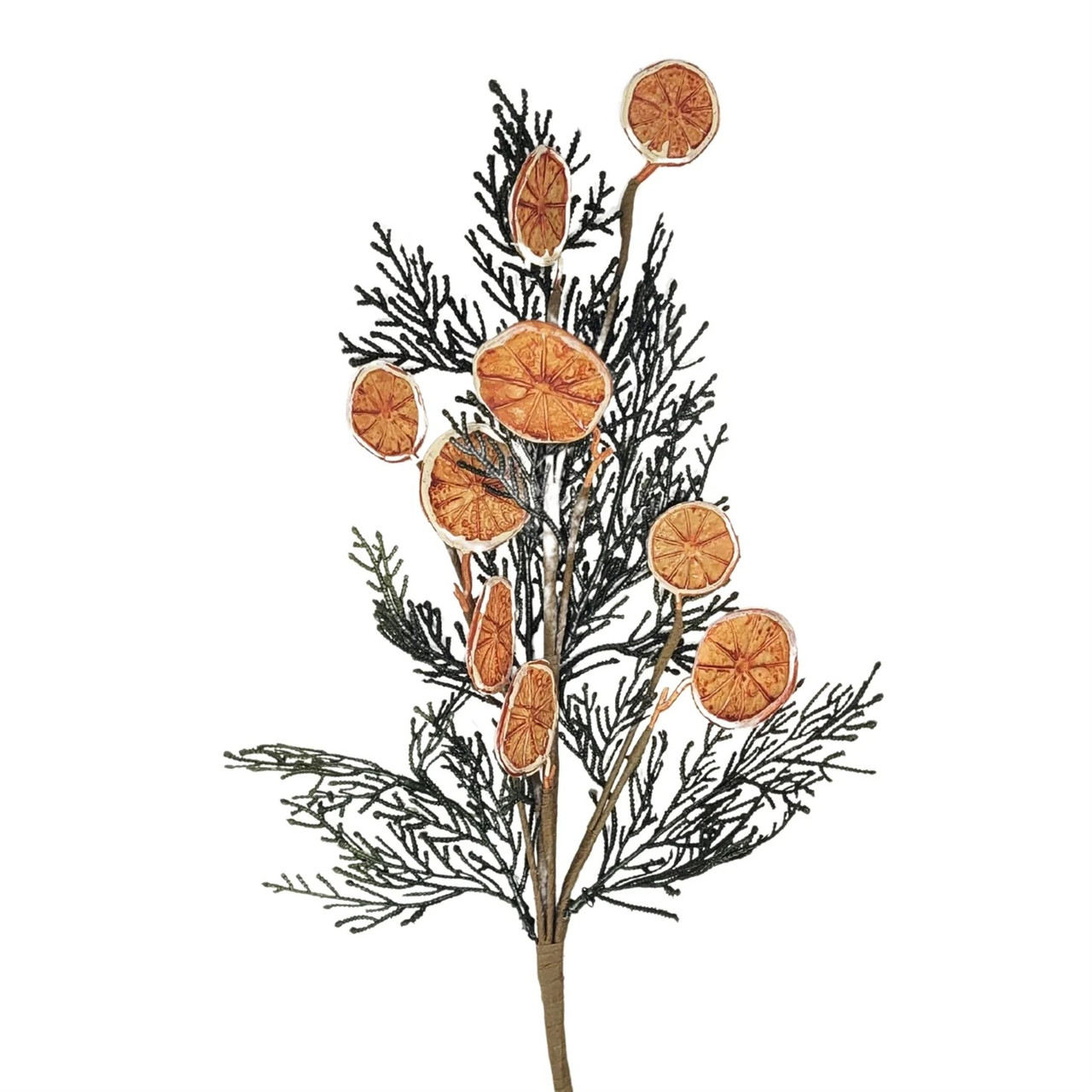 Spray, Evergreen Branch With Orange Slices 24"