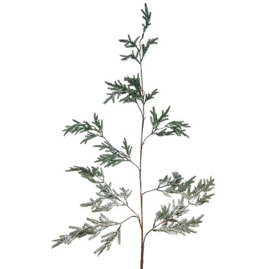 Stem, Highland Spruce Vine