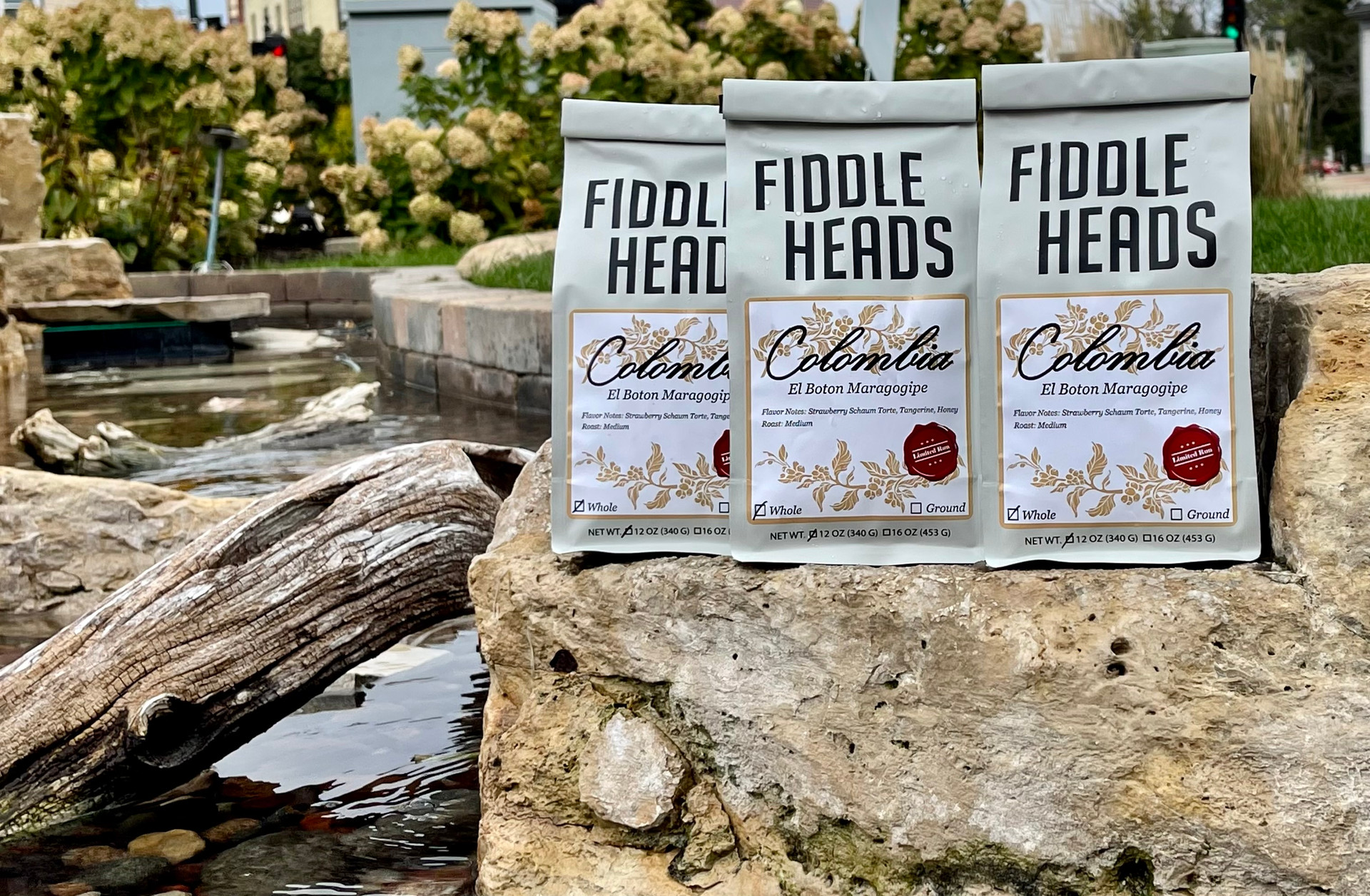 Fiddleheads Coffee Roasters