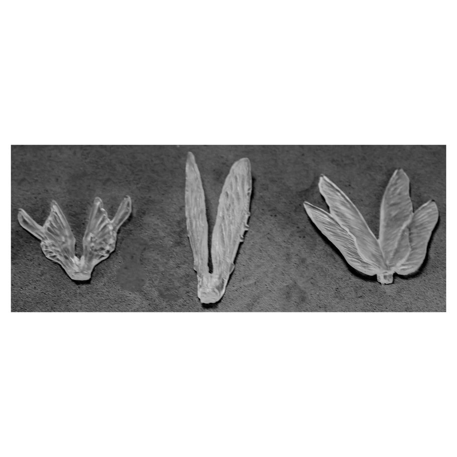 Bones: Clear Wings (3) - ACD Distribution | Leading Toy & Game Distributor