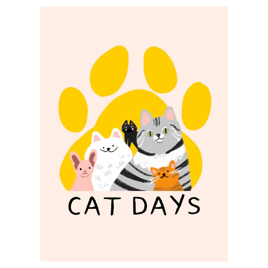 Cat Days - ACD Distribution | Leading Toy & Game Distributor