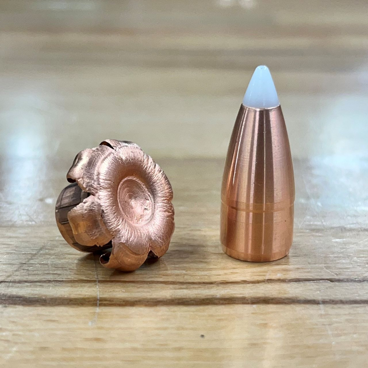 45 70 Bullet | Bear Creek Ballistics