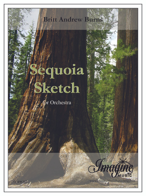 Sequoia Sketch - Imagine Music Publishing LLC
