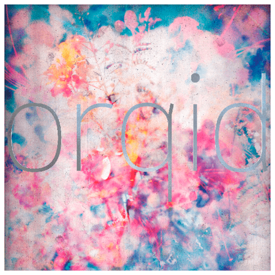 ORQID- Tenderness - Disco Couture - Waveform Magazine