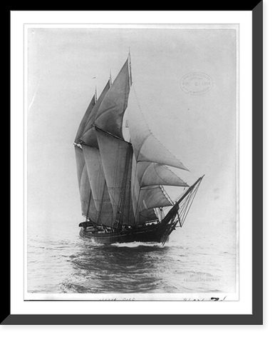 Historic Framed Print, MABEL ROSE, 17-7/8" x 21-7/8"