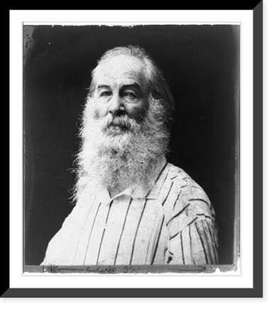 Historic Framed Print, [Walt Whitman, head-and-shoulders portrait ...