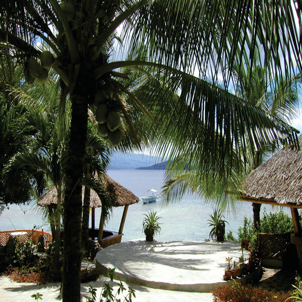 Magic Resort Cebu & Bohol 11 Days Dive, Philippines