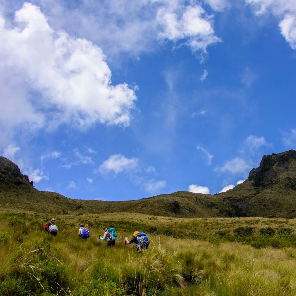 Ecuador - Highlights of the Andes: 5 Days / 5 Nights - Cotopaxi ...