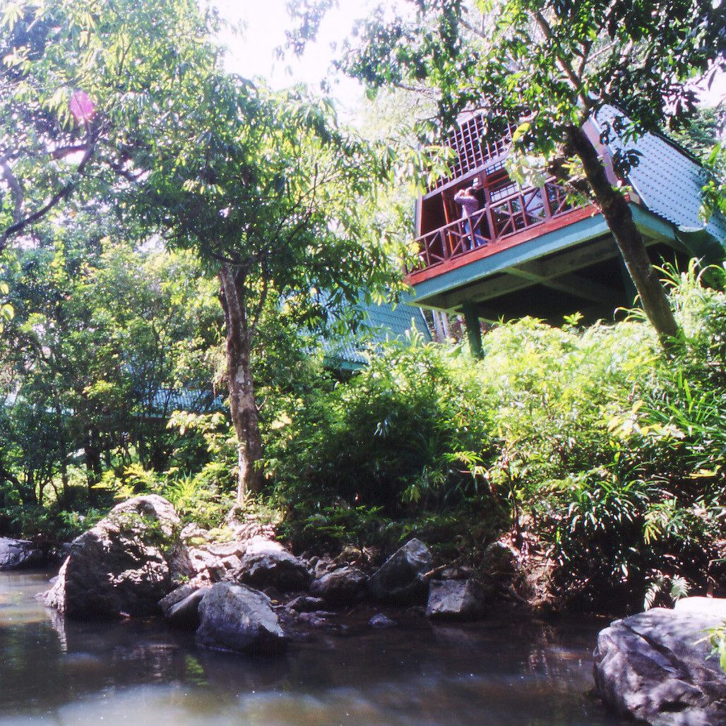 Borneo Tabin Wildlife Malaysia 6 Days | Pack Ya Bags