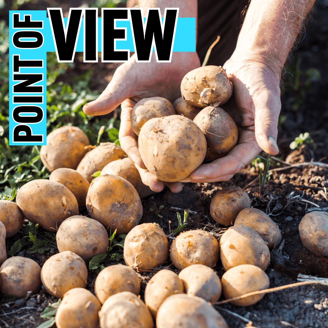 Reflections from the Isle of Ely Open Day - Ceres Shop