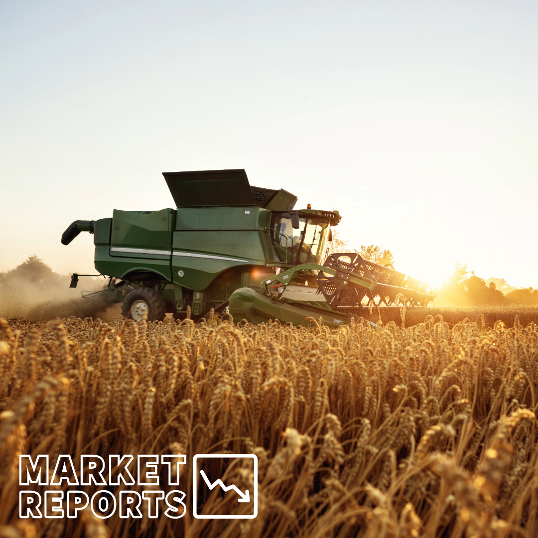 Wheat Market Update: Impact on the UK Wheat Market - Ceres Shop