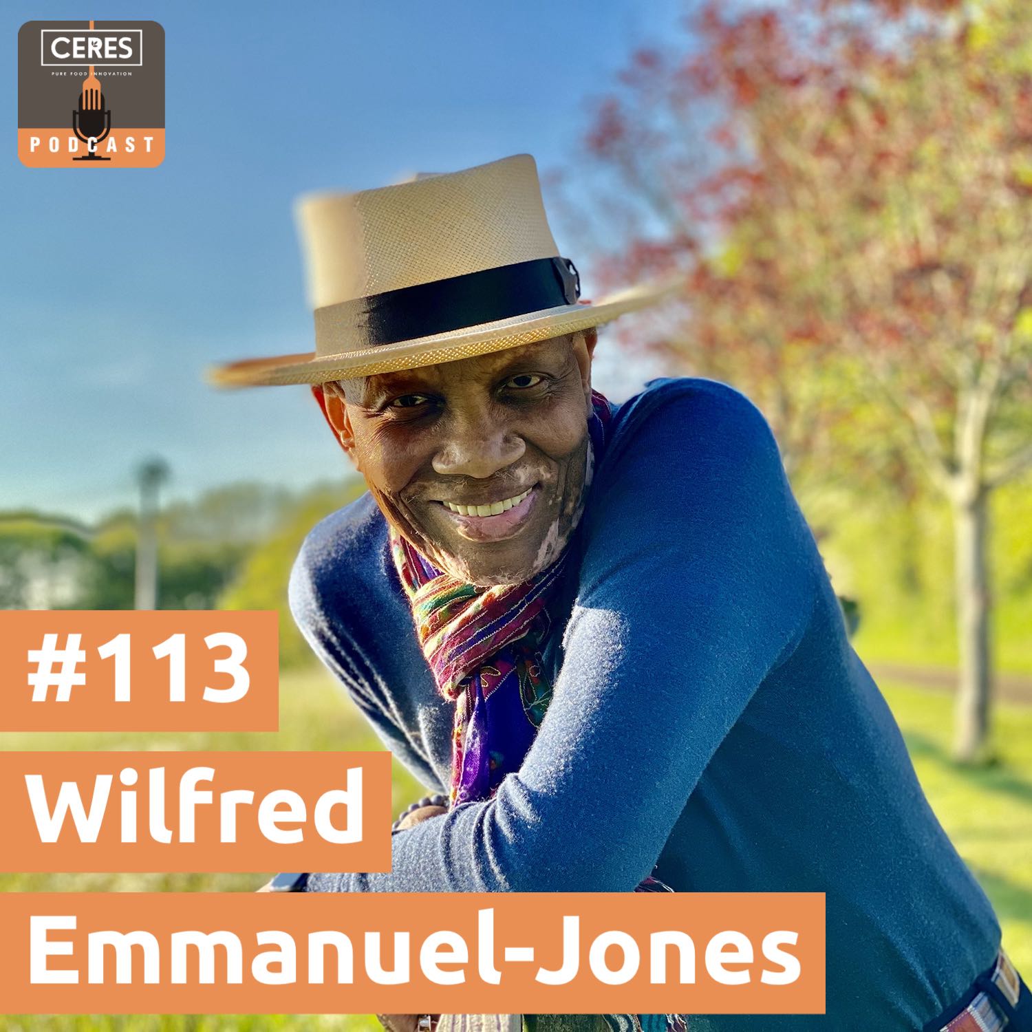 113 - Breaking Boundaries in Business: Wilfred Emmanuel-Jones Talks The ...