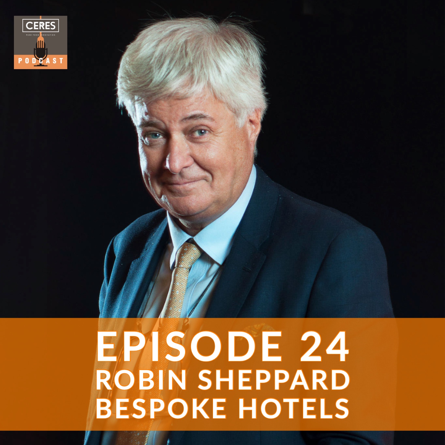 Episode 24 - Robin Sheppard on Bespoke Hotels, Accessibility, and ...