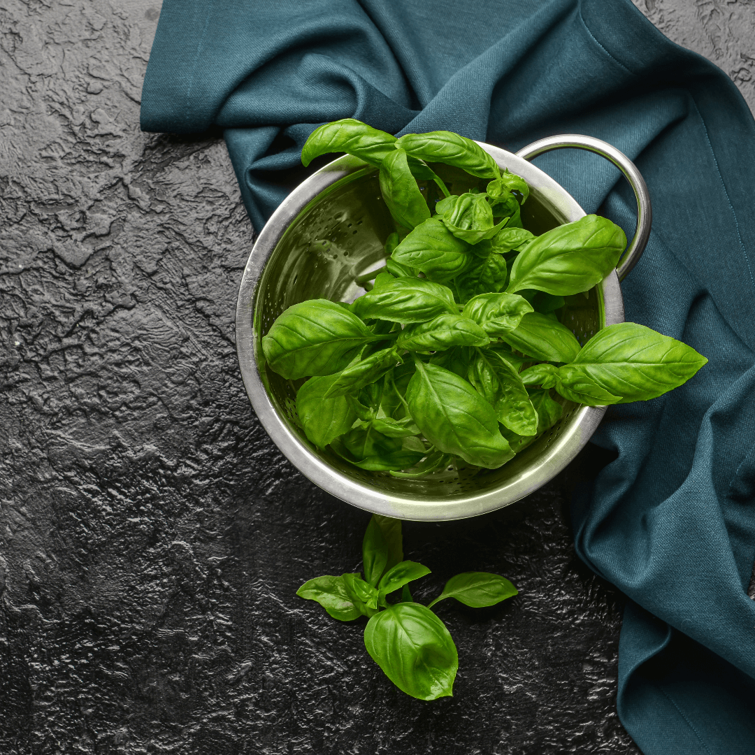Ingredient Glossary: Basil - Ceres Shop