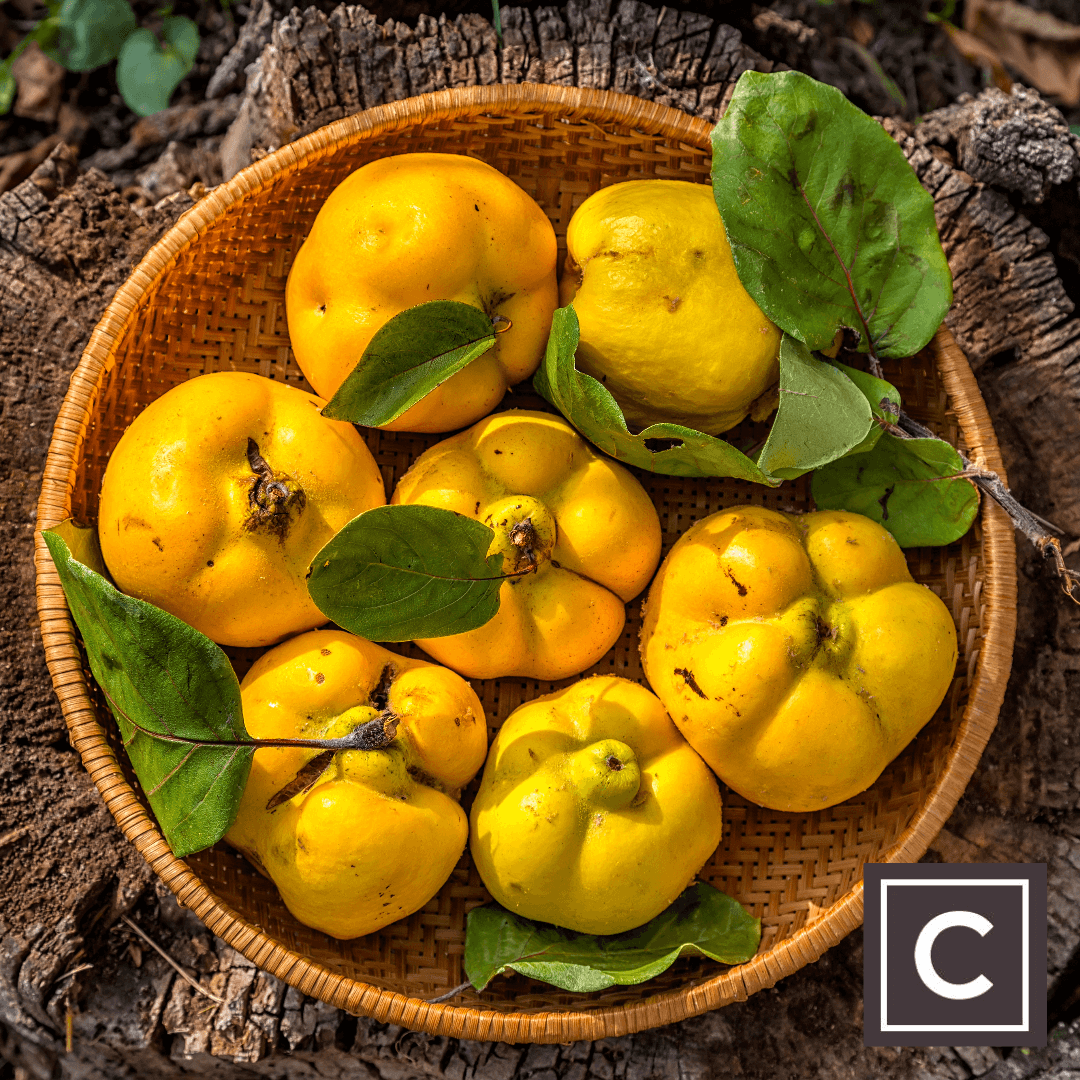 Ingredient Glossary: Quince - Ceres Shop