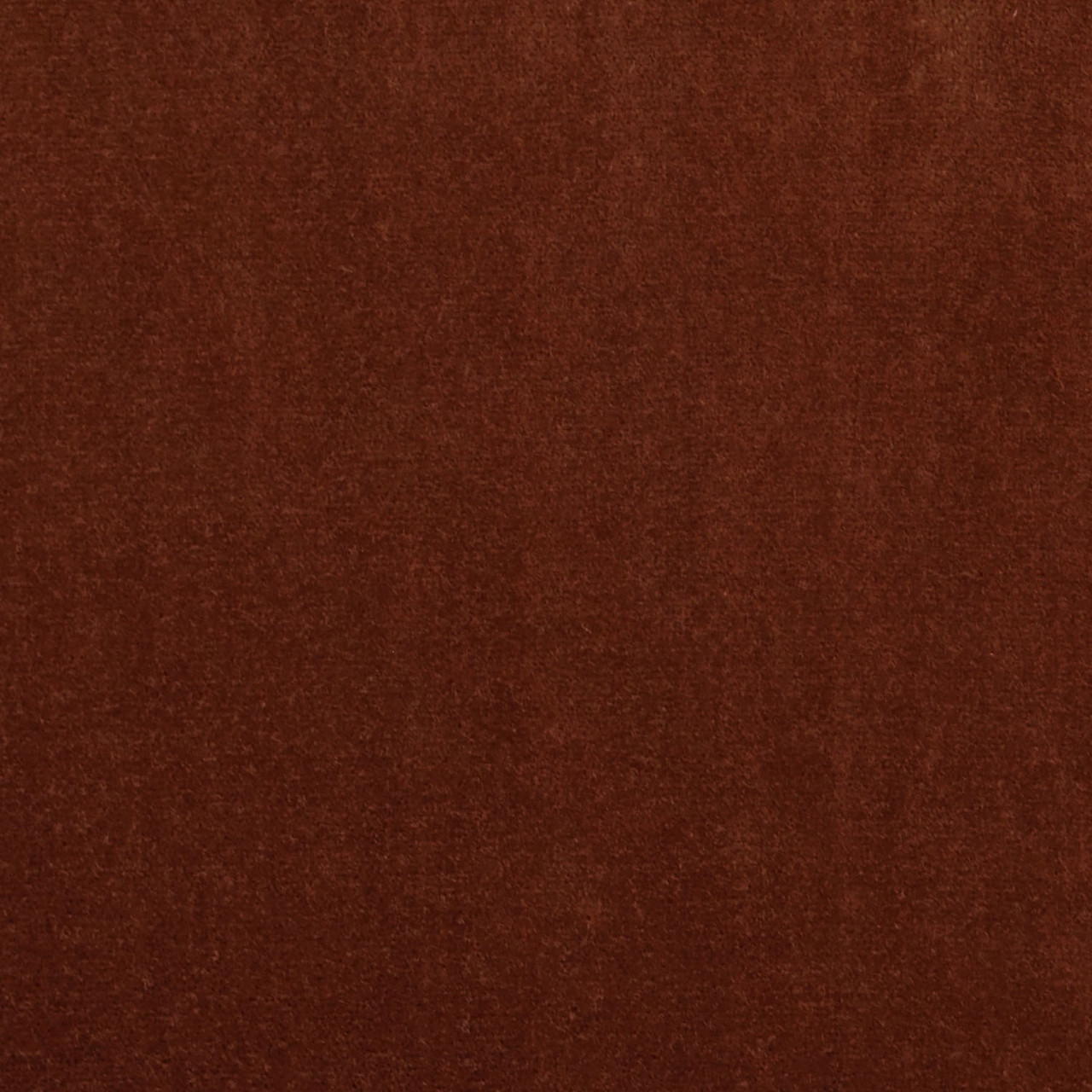 TABOO Nutmeg - P/Kaufmann