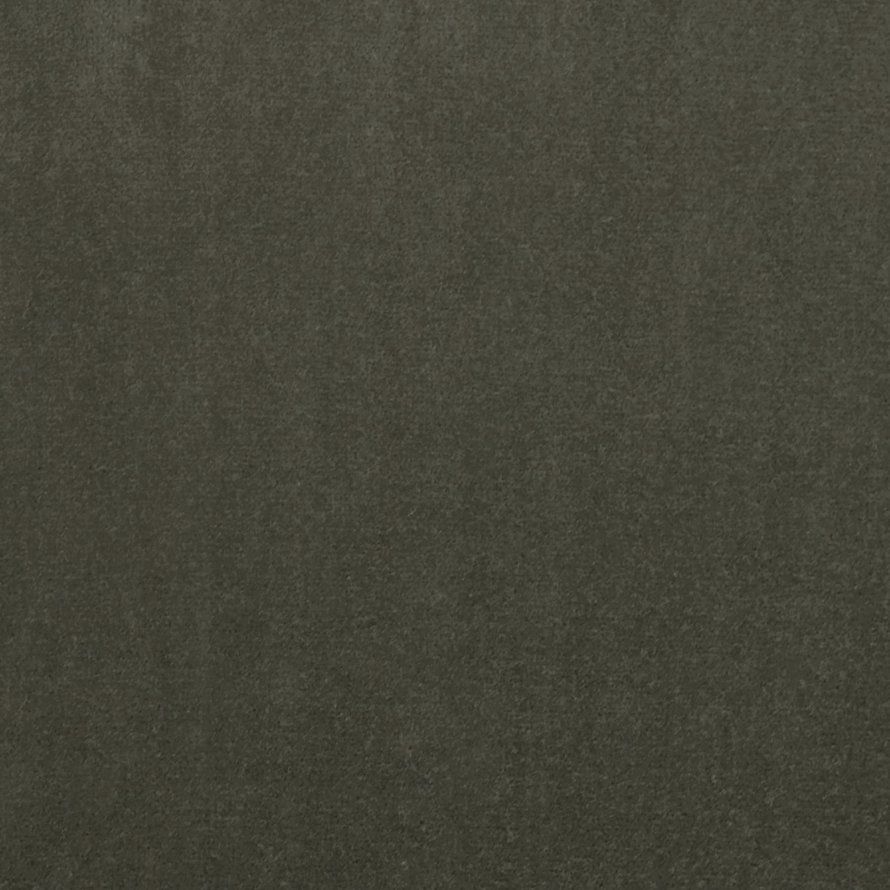 TABOO Bay Leaf - P/Kaufmann