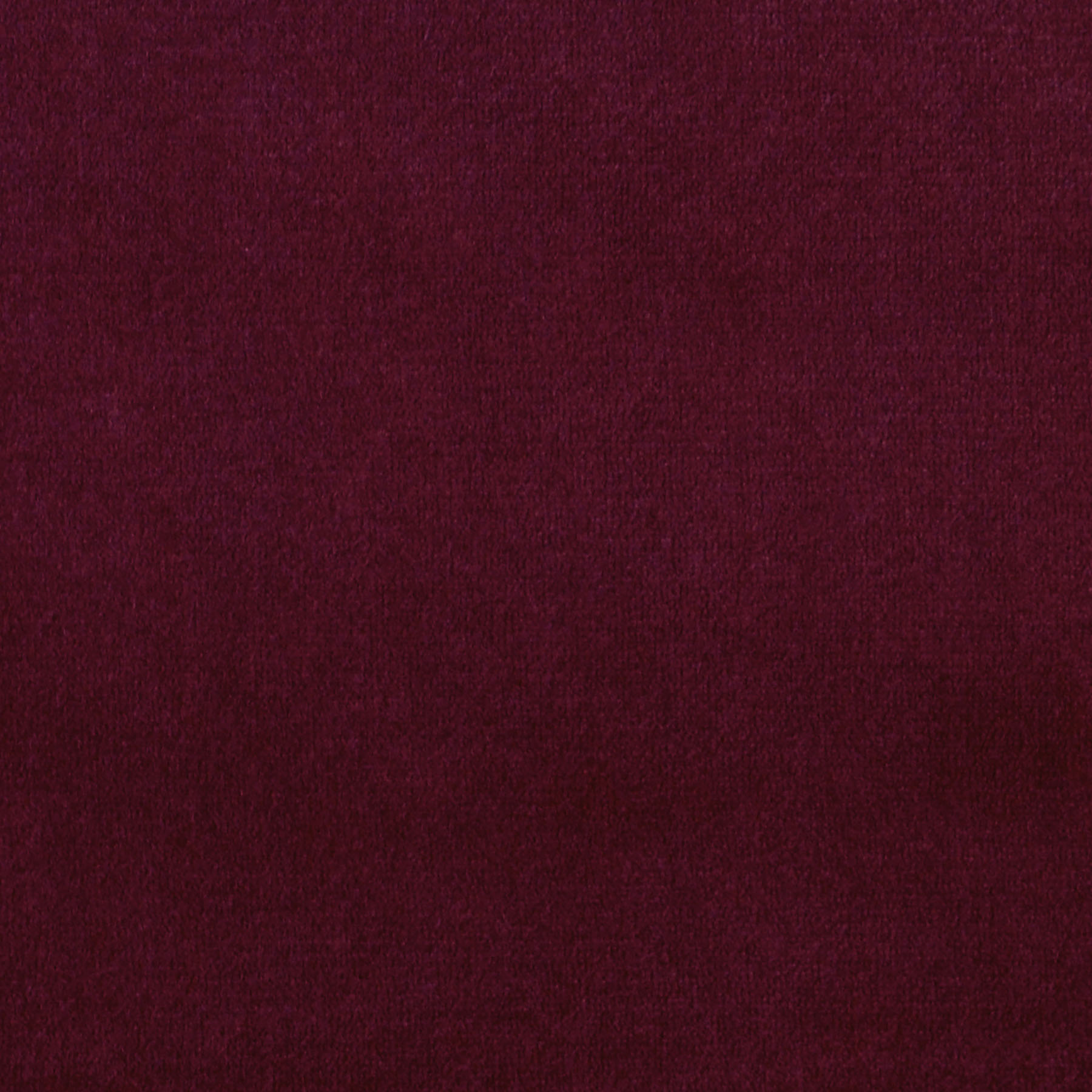 TABOO Bordeaux - P/Kaufmann